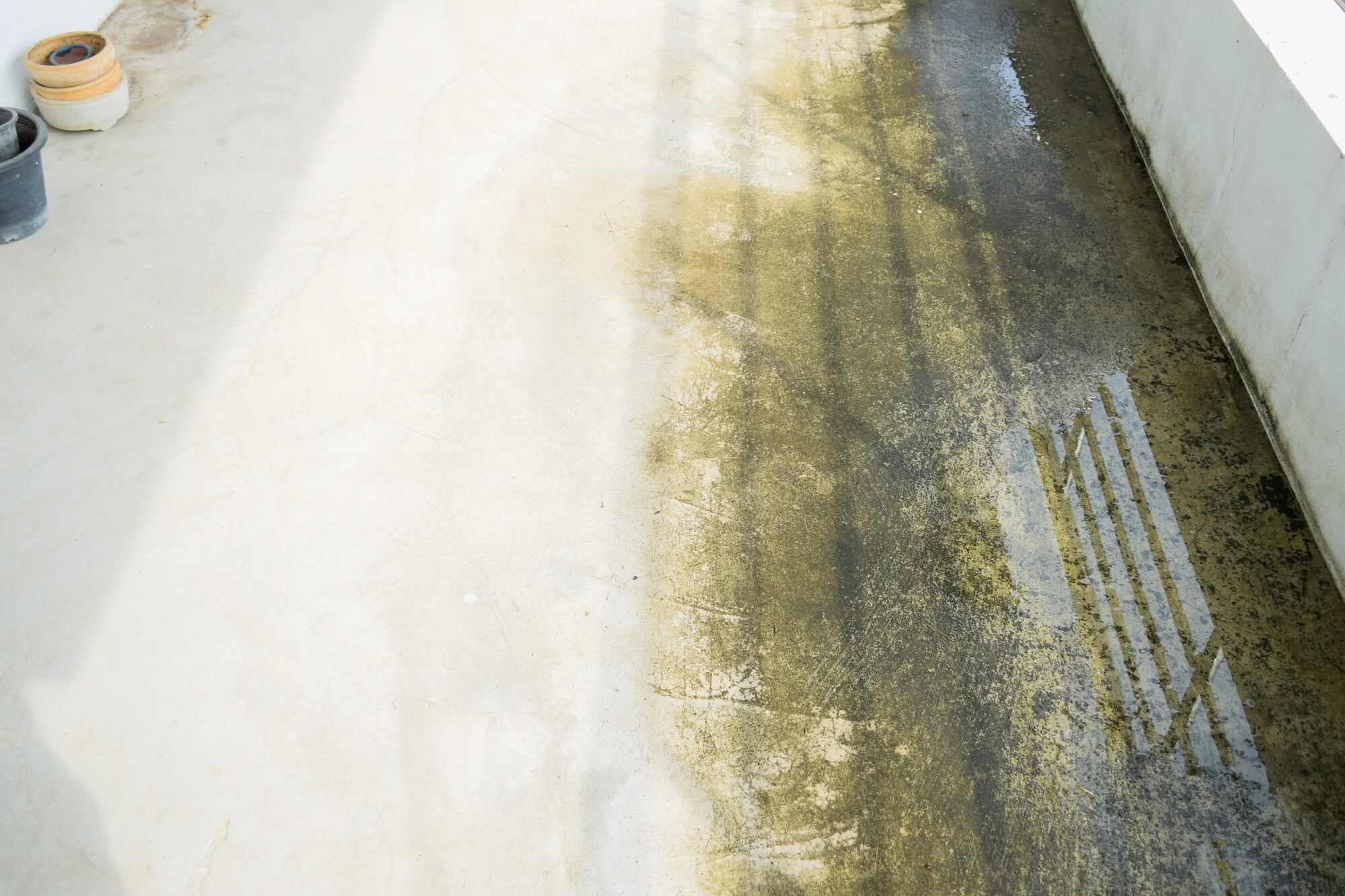 How to Spot Leak in Slab Foundation Early & Prevent Damage