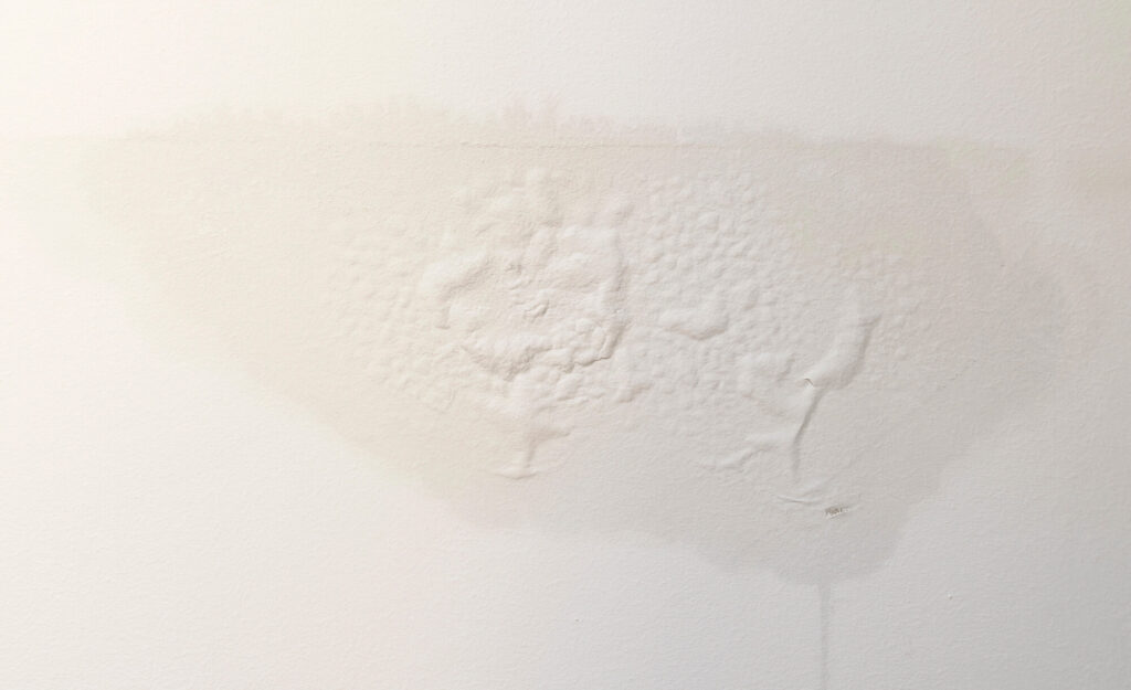 Water Pooling Near Your Foundation? Here's What to Do - Above All ...